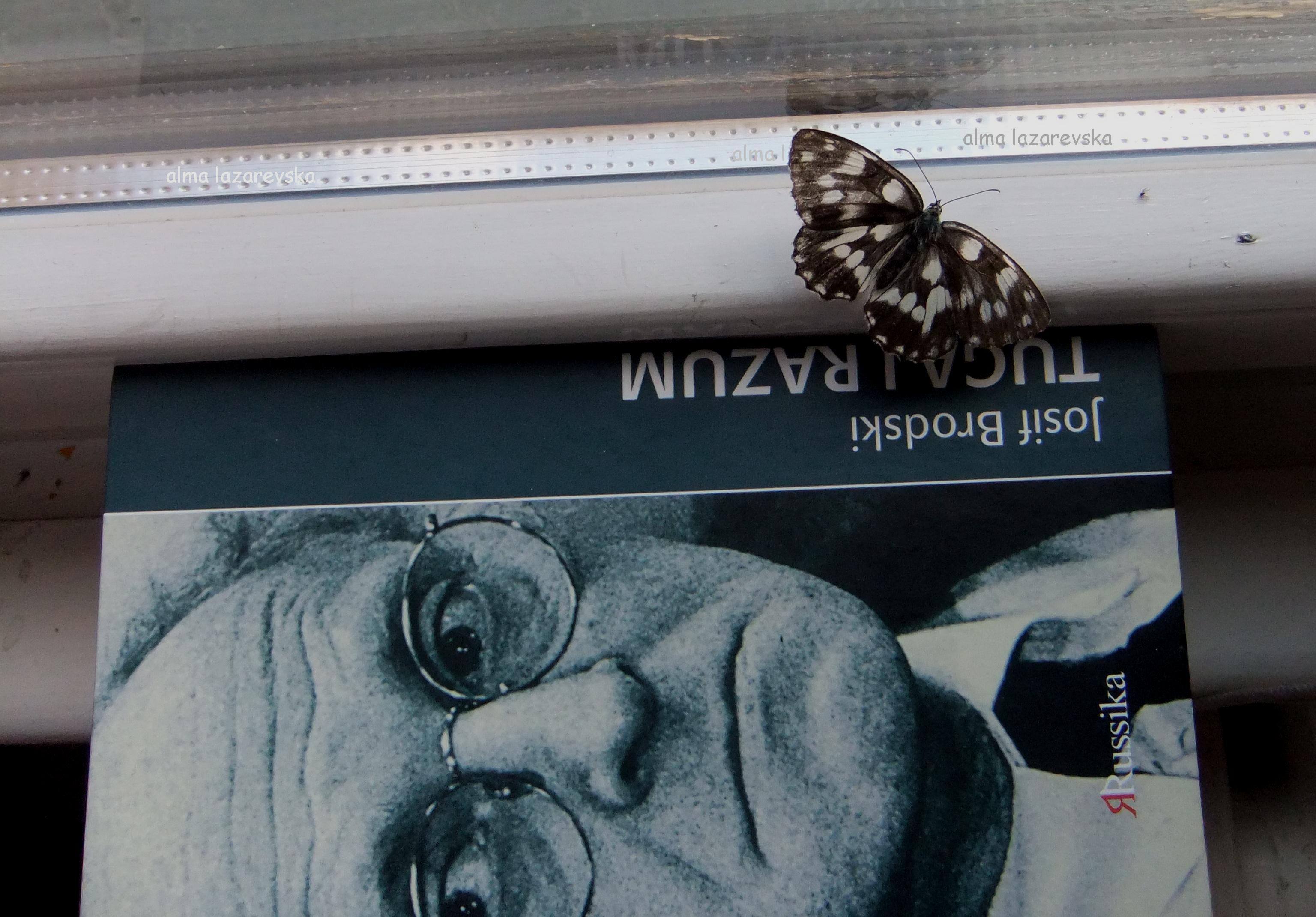 Nepristojna ponuda | MC_ONLINE